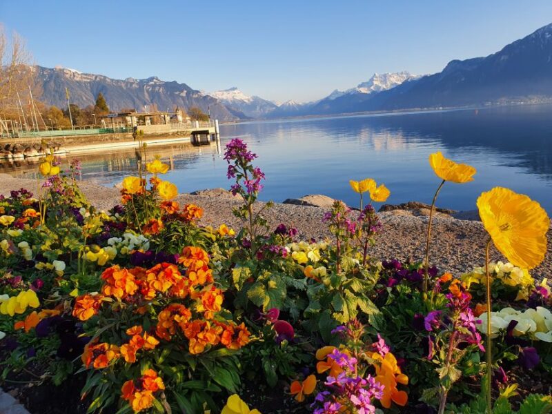 From Zurich: 7-Day Tour to Geneva With Tickets and Lodging - Since You Asked