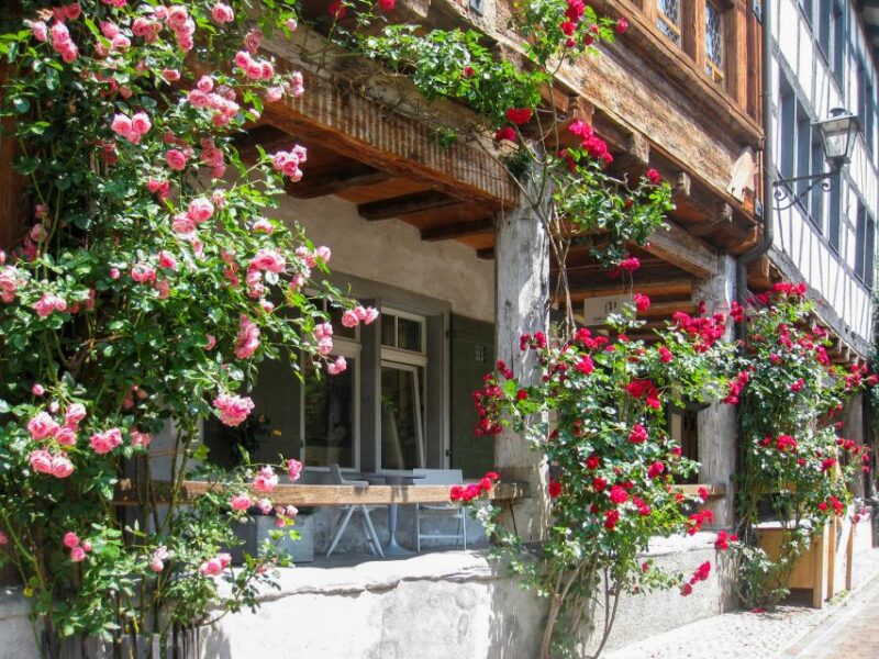 From Zurich: Bus Day Trip to Heidiland and Liechtenstein - Experience the Enchanting Heidis Village