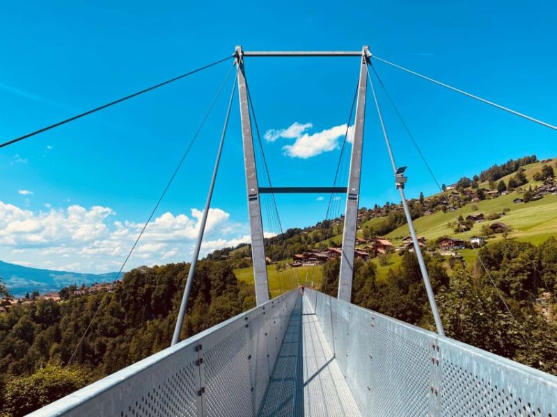 From Zurich: Crash Landing On You Locations in Interlaken - Tour Logistics and Important Information