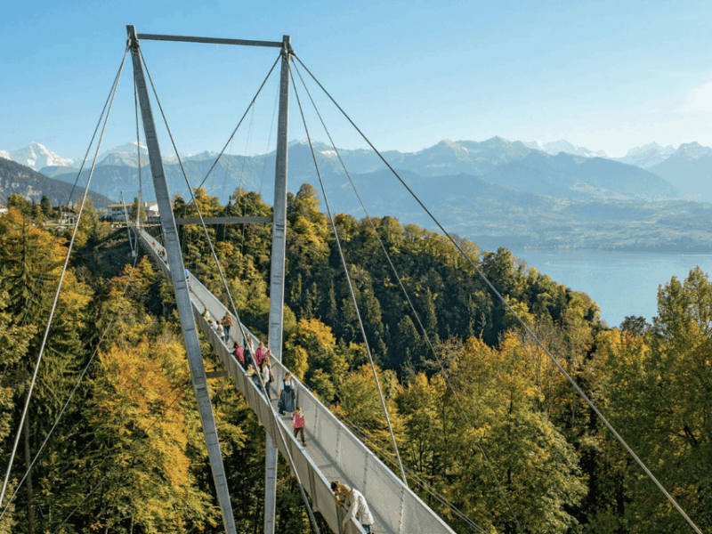 From Zurich: Crash Landing on You Private Day Trip - Since You Asked