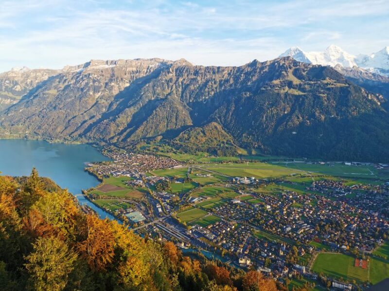 From Zurich: Day-Trip to Interlaken - Customer Feedback and Ratings