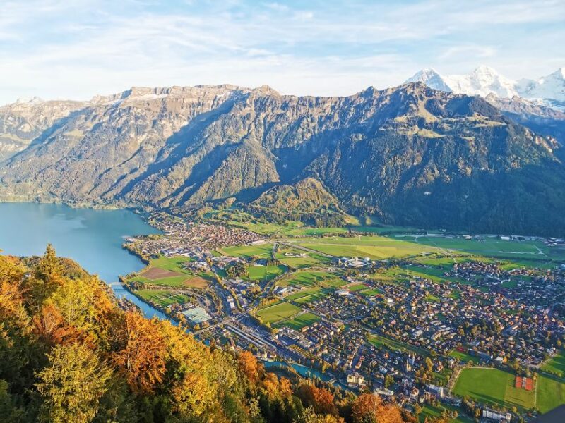 From Zurich: Day Trip to Jungfrau and Interlaken - Group Tour Experience With Knowledgeable Guide