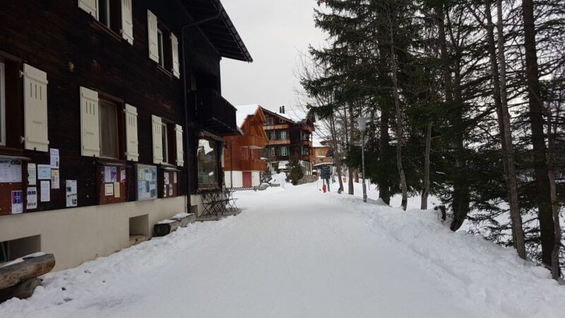 From Zürich: Exclusive Private Tour to Mt. Schilthorn - Important Information and Requirements