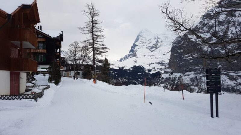 From Zürich: Exclusive Private Tour to Mt. Schilthorn - Since You Asked