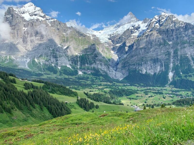 From Zurich: Grindelwald and First Cliff Walk Day Trip - Tour Inclusions and Important Information