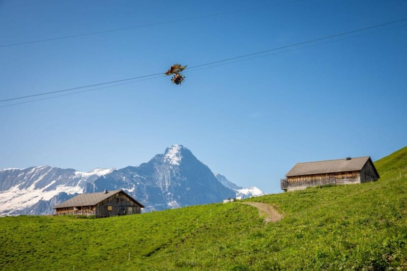 From Zurich: Grindelwald First Cable Car & Interlaken - Important Information and Recommendations