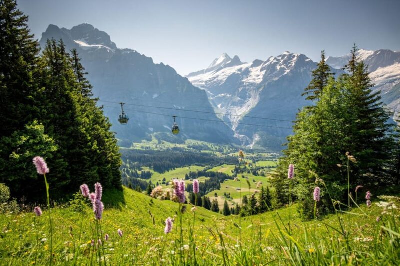 From Zurich: Grindelwald First Cable Car & Interlaken - Exploring Grindelwald
