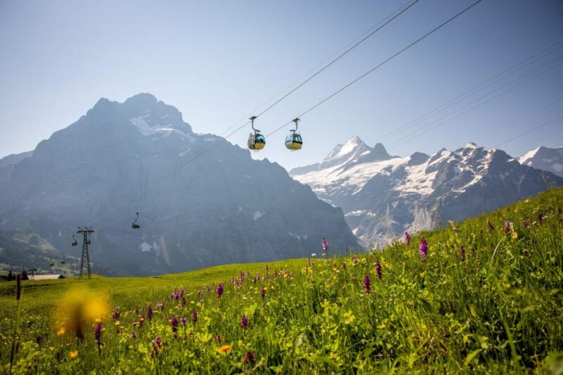 From Zurich: Grindelwald First Cable Car & Interlaken - Since You Asked