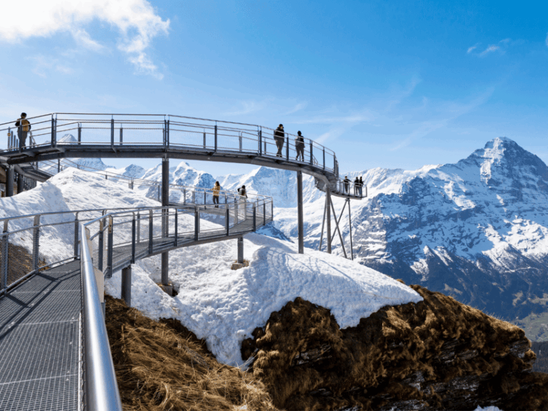 From Zurich: Grindelwald First Top of Adventure Private Trip - Key Points