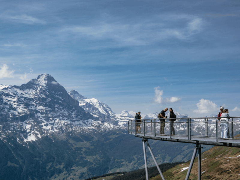 From Zurich: Grindelwald First Top of Adventure Private Trip - Inclusions
