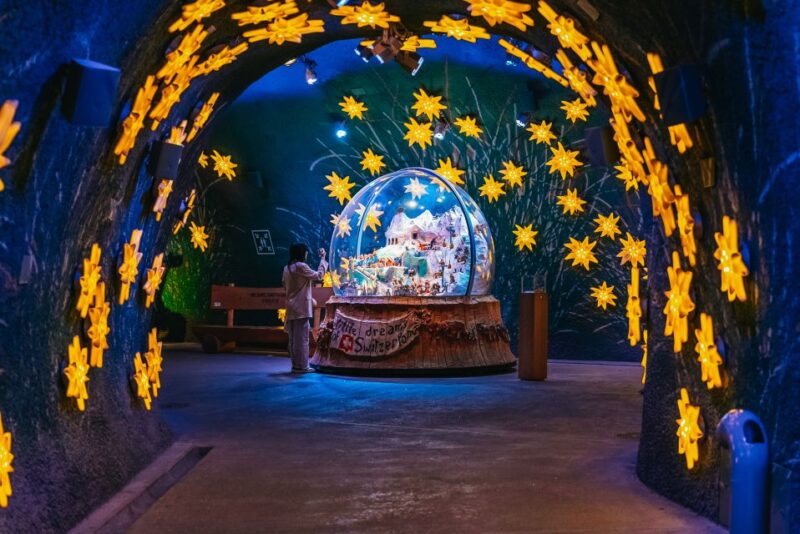 From Zurich: Guided Day Trip to Jungfraujoch With Train Ride - Key Points