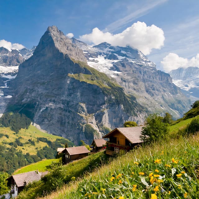 From Zurich: Interlaken and Grindelwald Private Day Tour - Experience Features
