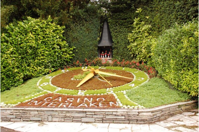 From Zurich: Interlaken Day Trip and Harder Kulm Viewpoint - Customer Experience and Reviews