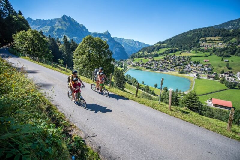 From Zurich: Lucerne and Engelberg Full-Day Tour - Accessibility and Flexibility