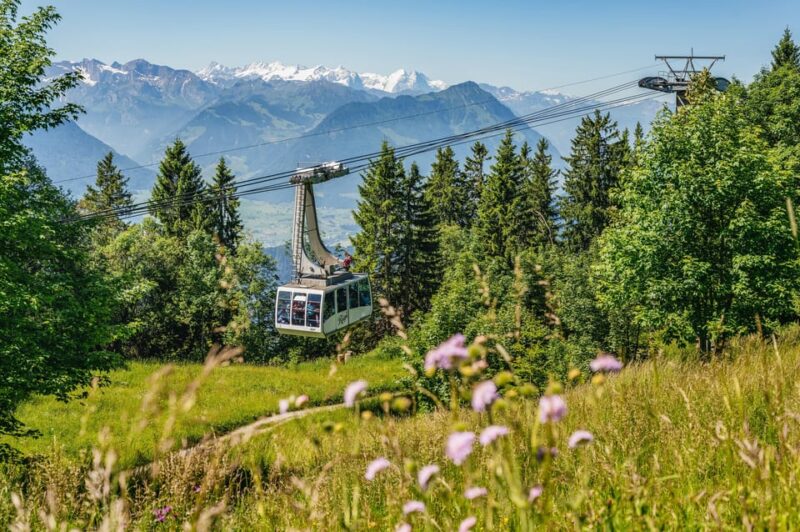 From Zurich: Mount Rigi and Lucerne Small-Group Day Trip - Scenic Experiences