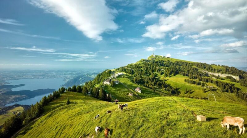 From Zurich: Mount Rigi and Lucerne Small-Group Day Trip - Meeting Point and Customer Reviews