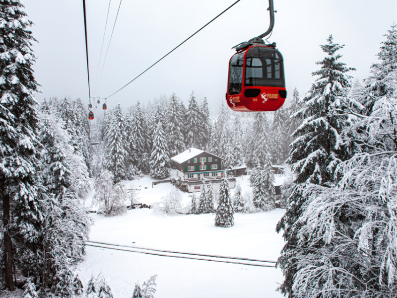 From Zurich: Pilatus & Lucerne With Cruise Private Day Trip - Highlights and Attractions