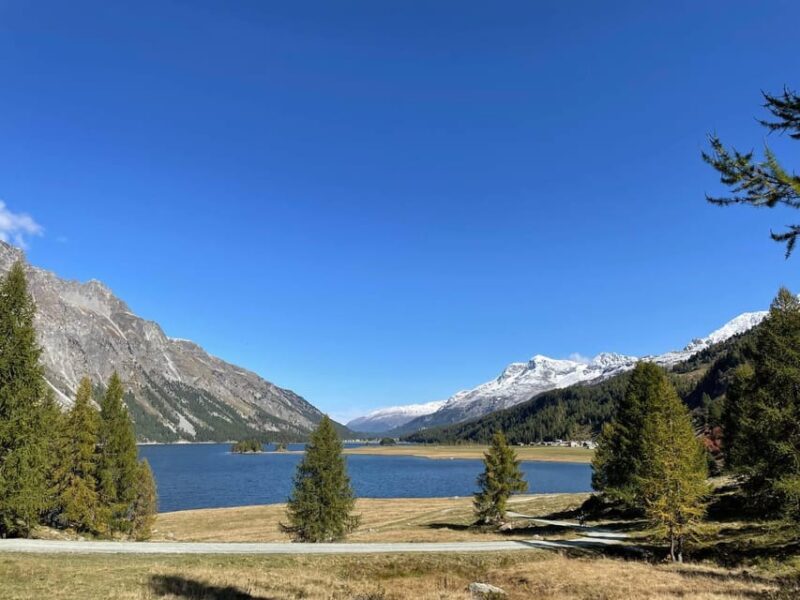 From Zurich: Private Day Trip to St. Moritz - The Picturesque Town of Thusis