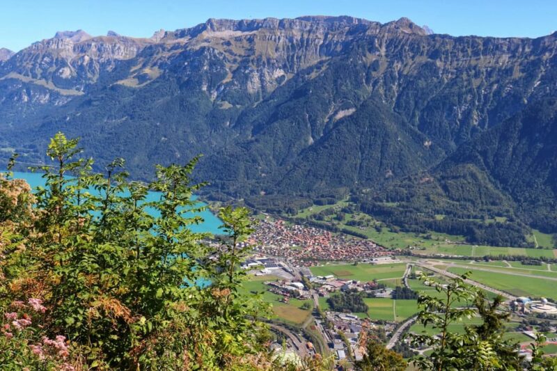 From Zurich: Private Interlaken and Grindelwald Car Tour - Walking and Comfort Requirements