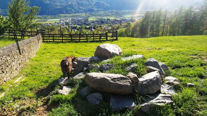 From Zurich: Private Trip to Liechtenstein and Heidiland - Rapperswil Castle