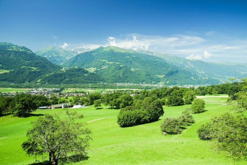 From Zurich: Private Trip to Liechtenstein and Heidiland - Customer Reviews
