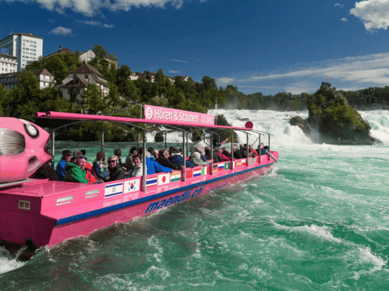 From Zurich: Rhine Falls & Stein Am Rhein Private Day Trip - Itinerary Details