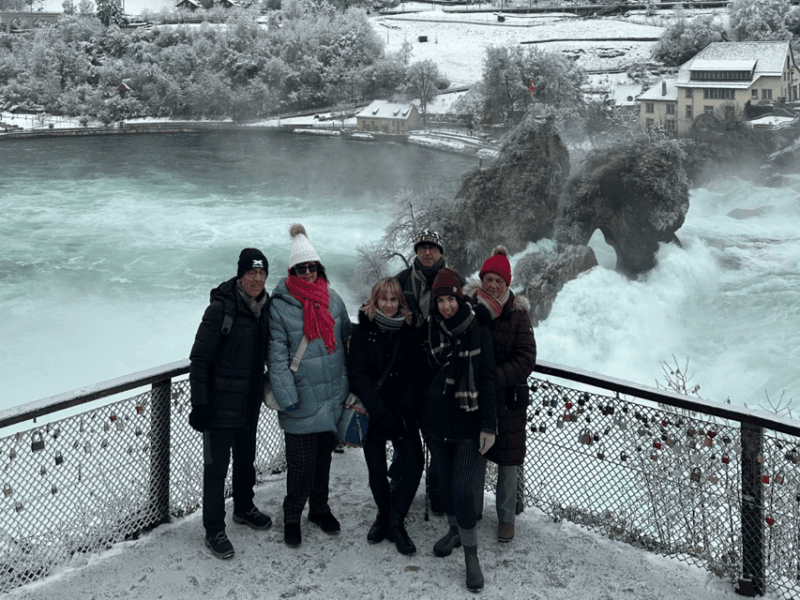 From Zurich: Rhine Falls & Stein Am Rhein Private Day Trip - Transportation and Accessibility