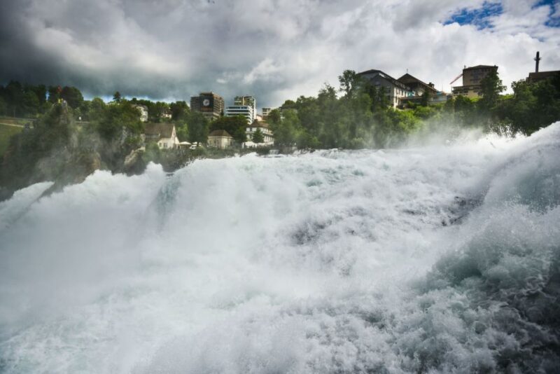 From Zurich to The Rhine Falls - Customer Experience and Reviews