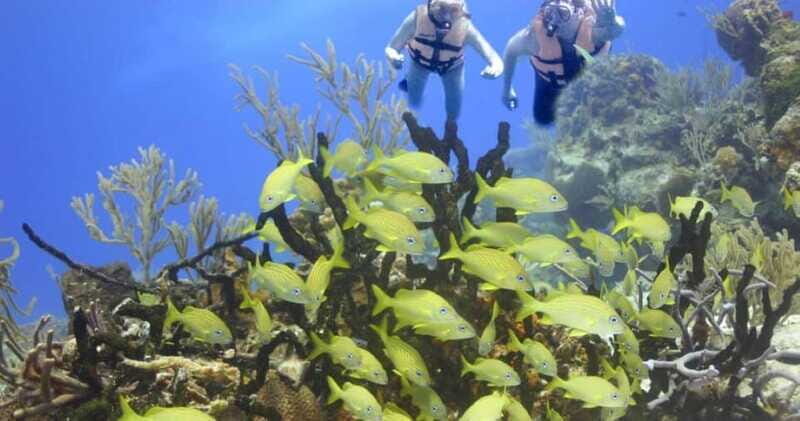 FromCancun: Puerto Morelos: Bike & Zip Line Tour - FAQ