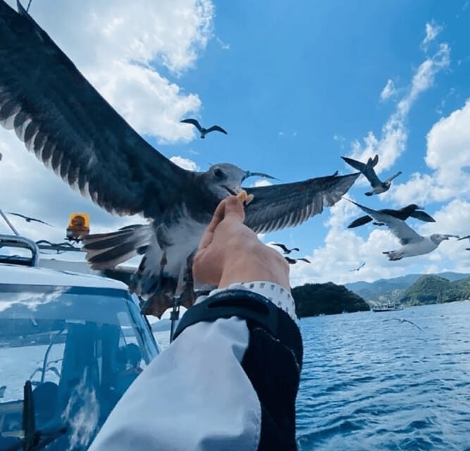 FromOsaka/Kyoto: Hiroshima & Miyajima Private Tour - Introduction