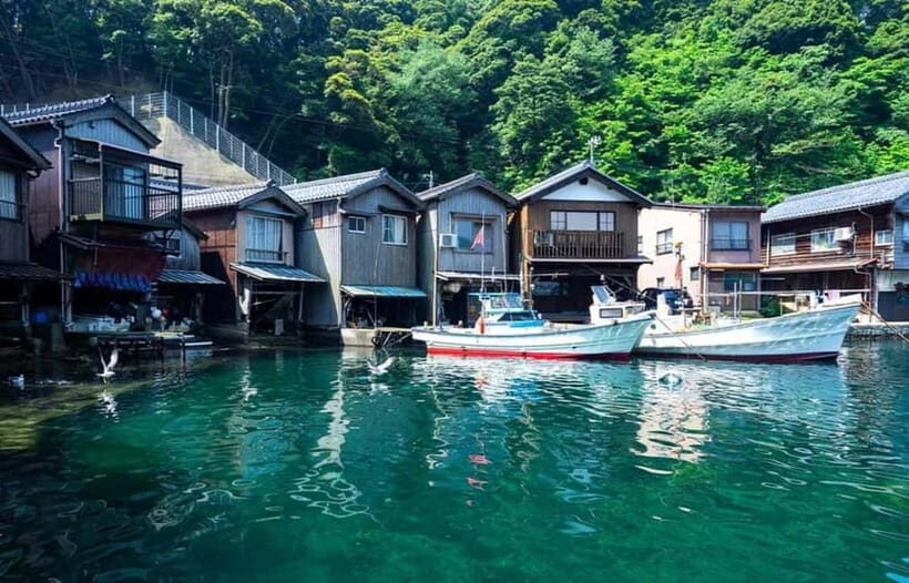 FromOsaka/Kyoto: Hiroshima & Miyajima Private Tour - Key Points