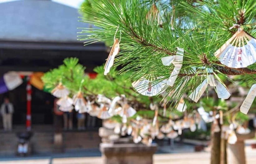 FromOsaka/Kyoto: Hiroshima & Miyajima Private Tour - Final Thoughts: Who Should Consider This Tour?