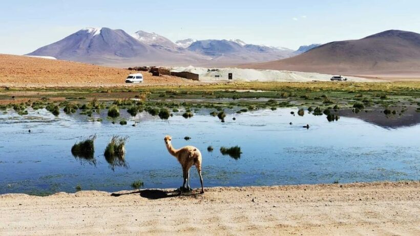 From:San Pedro de Atacama / Salar Route - Key Points