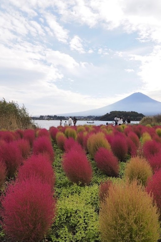 Fromtokyo Mount Fuji Private Full Day Trip With Hotel Pickup - Suitability and Additional Costs