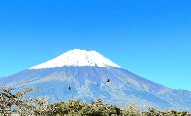 Fromtokyo Mount Fuji Private Full Day Trip With Hotel Pickup - Frequently Asked Questions