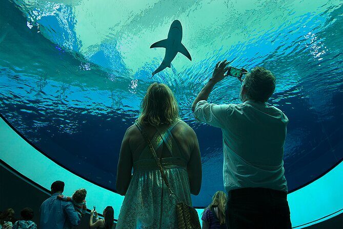 Frost Science Museum Admission Tickets - The Aquarium: A Deep Dive