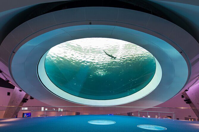 Frost Science Museum Admission Tickets - Interactive Exhibits and Live Programming