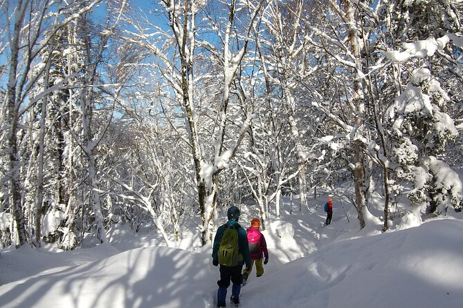 Frozen Fall Trekking - Encountering the Frozen Waterfall