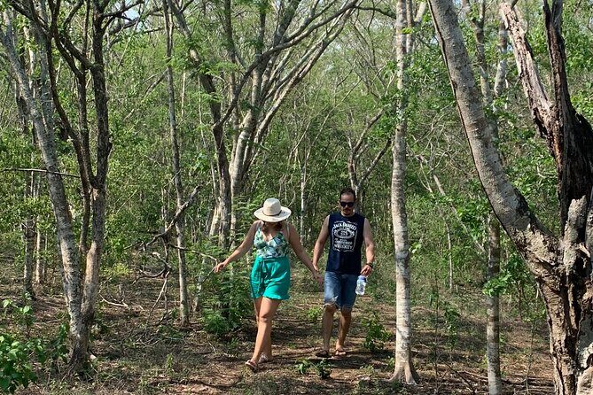 Fruit Garden and Mezcal Tasting Tour with Lunch Included - The Sum Up