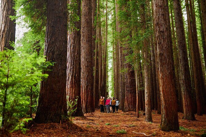 Fruit Picking & Nature Private Tour Yarra Valley & Warburton - Key Points