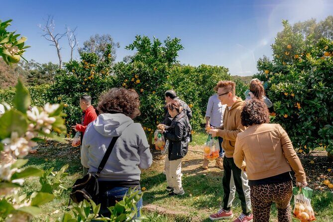 Fruit Picking & Nature Private Tour Yarra Valley & Warburton - An Authentic Taste of the Yarra Valley and Warburton