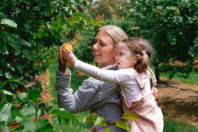 Fruit Picking & Nature Private Tour Yarra Valley & Warburton - FAQ