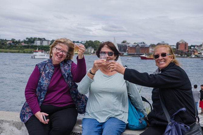 Frutillar, Puerto Varas, and Petrohué Waterfalls Excursion From Puerto Montt - Scenic Attractions Along the Way