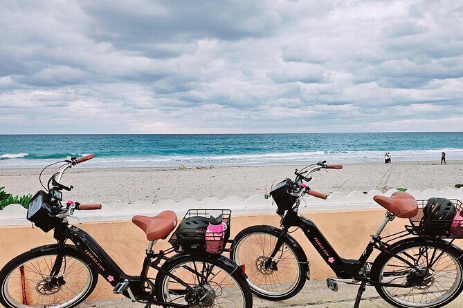 Ft. Lauderdale Brightline Train to Palm Beach & 3hr Ebike Rental - FAQ