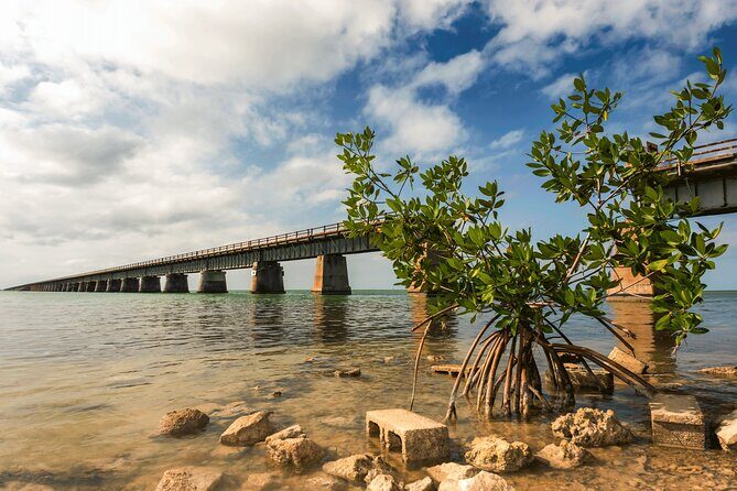 Ft. Lauderdale to Key West Day Trip Quality Day Tours - The Journey Begins: From Fort Lauderdale to the Florida Keys