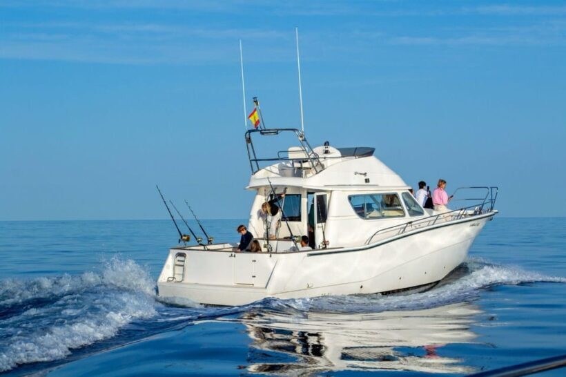 Fuengirola: Amazing Fishing Trip - The Sum Up