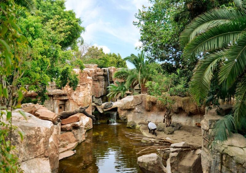 Fuengirola: Bioparc Entrance Ticket - Real Visitor Insights and Experiences