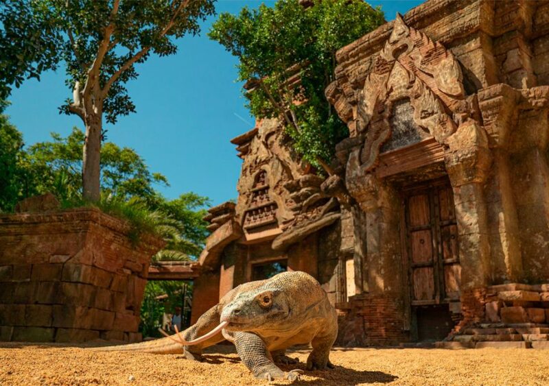Fuengirola: Bioparc Entrance Ticket - The Sum Up