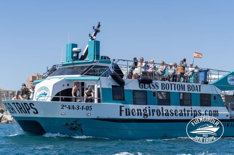 Fuengirola: Catamaran Tour to Spot Dolphins - Final Thoughts: Is This Tour Worth It?
