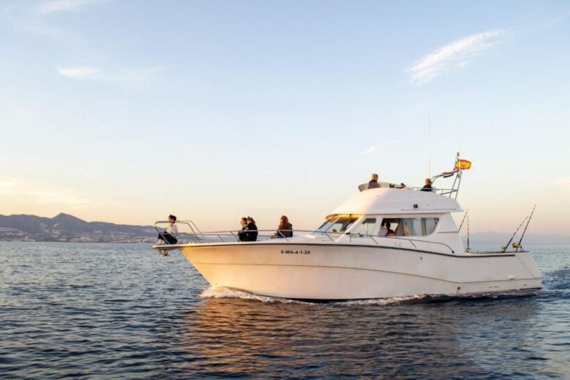 Fuengirola: Dolphin Watching Excursion with Refreshments - An Introduction to the Fuengirola Dolphin Watching Tour